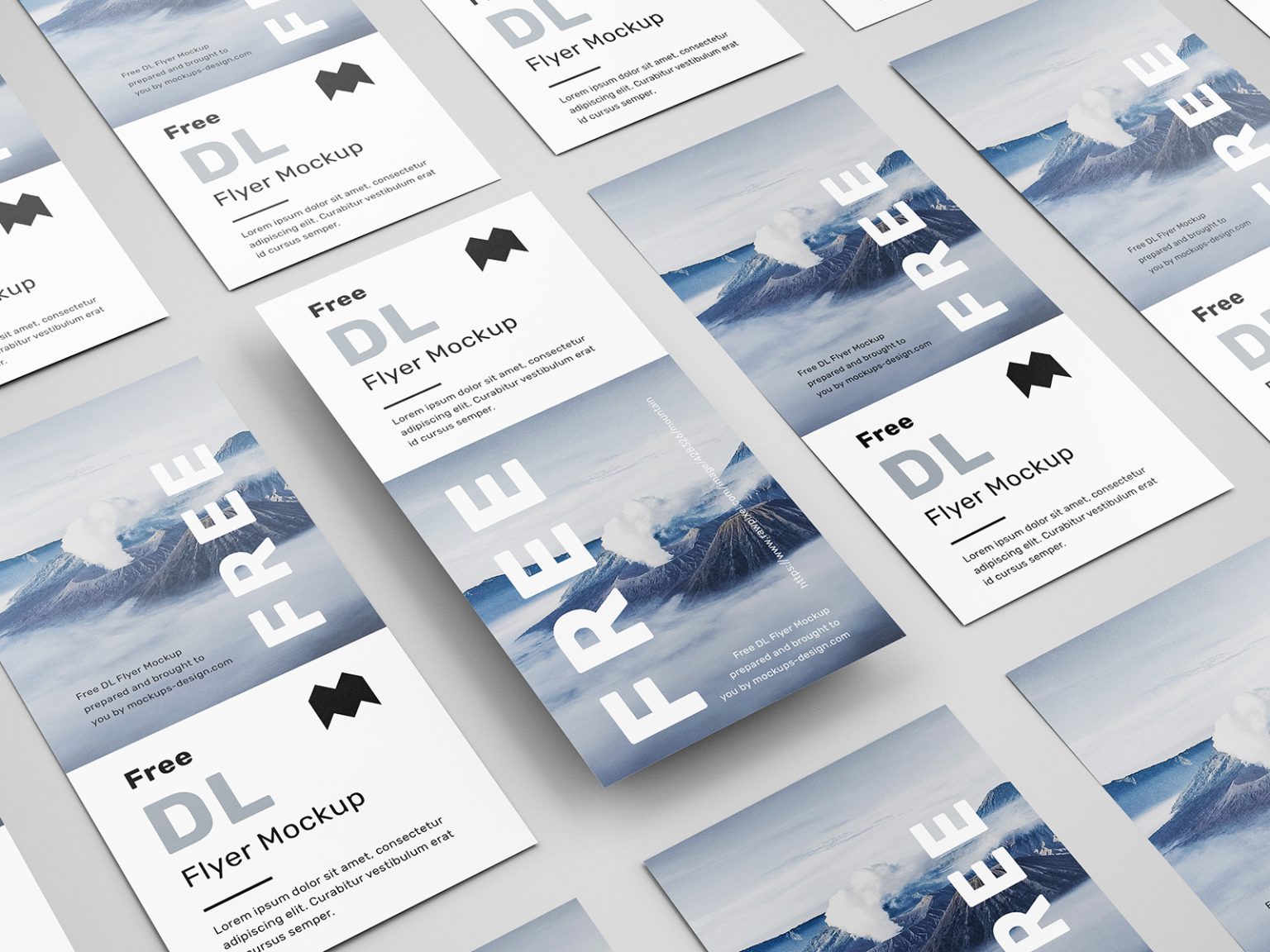 Free simple DL flyers mockup - Mockups Design